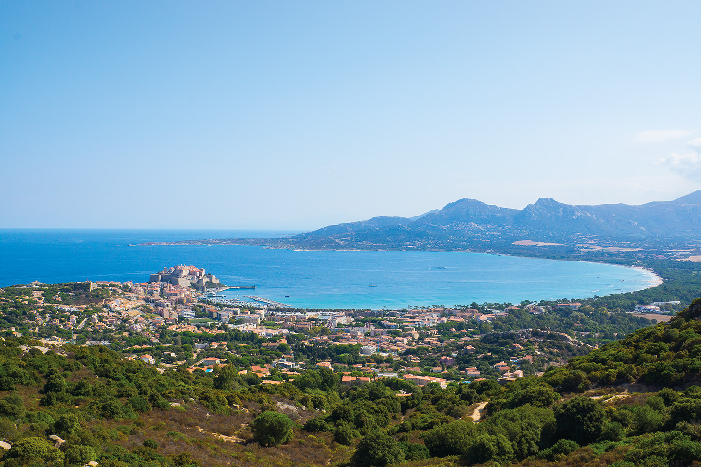 Calvi